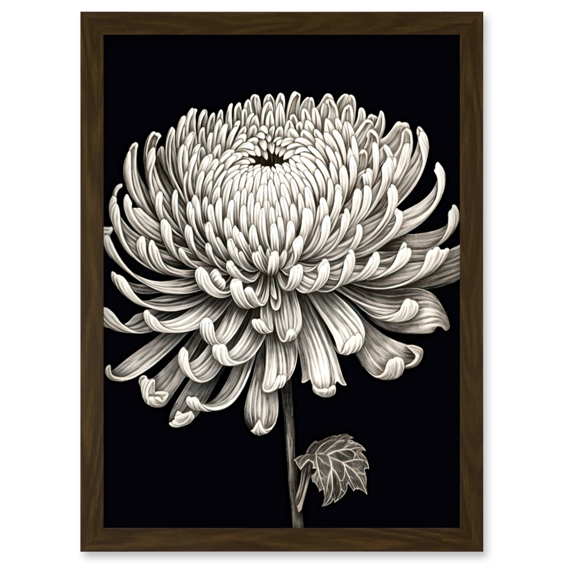 Detailed Illustration Chrysanthemum Bloom Flower Artwork Framed Wall ...