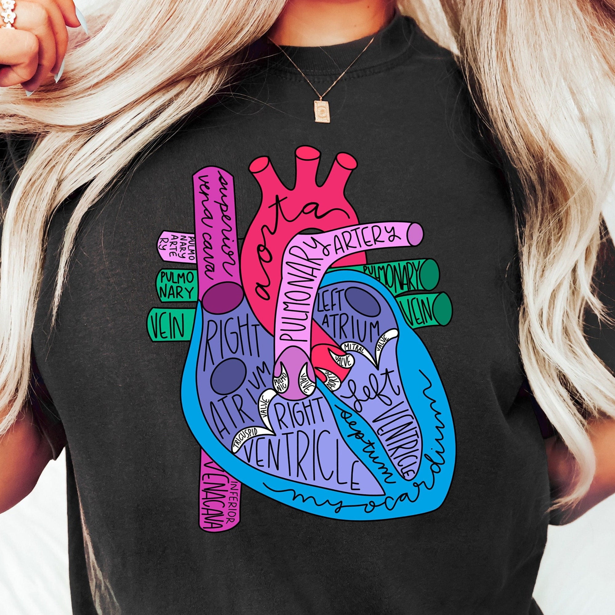 Detailed Labeled Heart Anatomy T-Shirt for Medical & Nursing School ...
