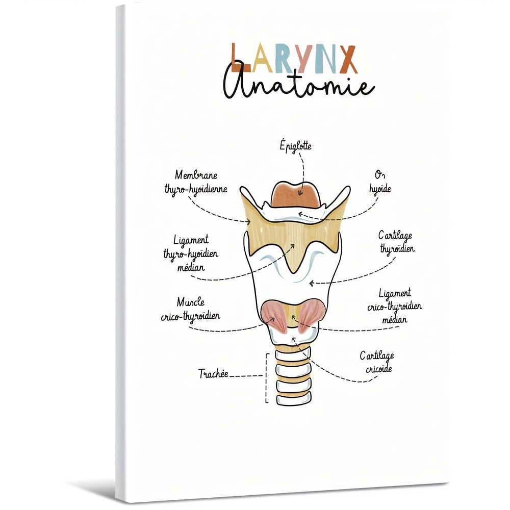 Detailed Larynx Anatomy Illustration. Large Wooden Framed Wall Art Home ...