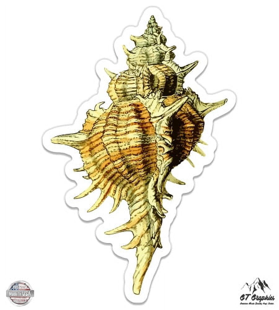 Detailed Seashell - 3" Vinyl Sticker - For Car Laptop I-Pad Phone ...