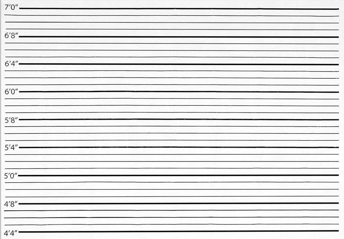 Detective Backdrop Murder Crime Fingerprint Clues Evidence Top Secret ...