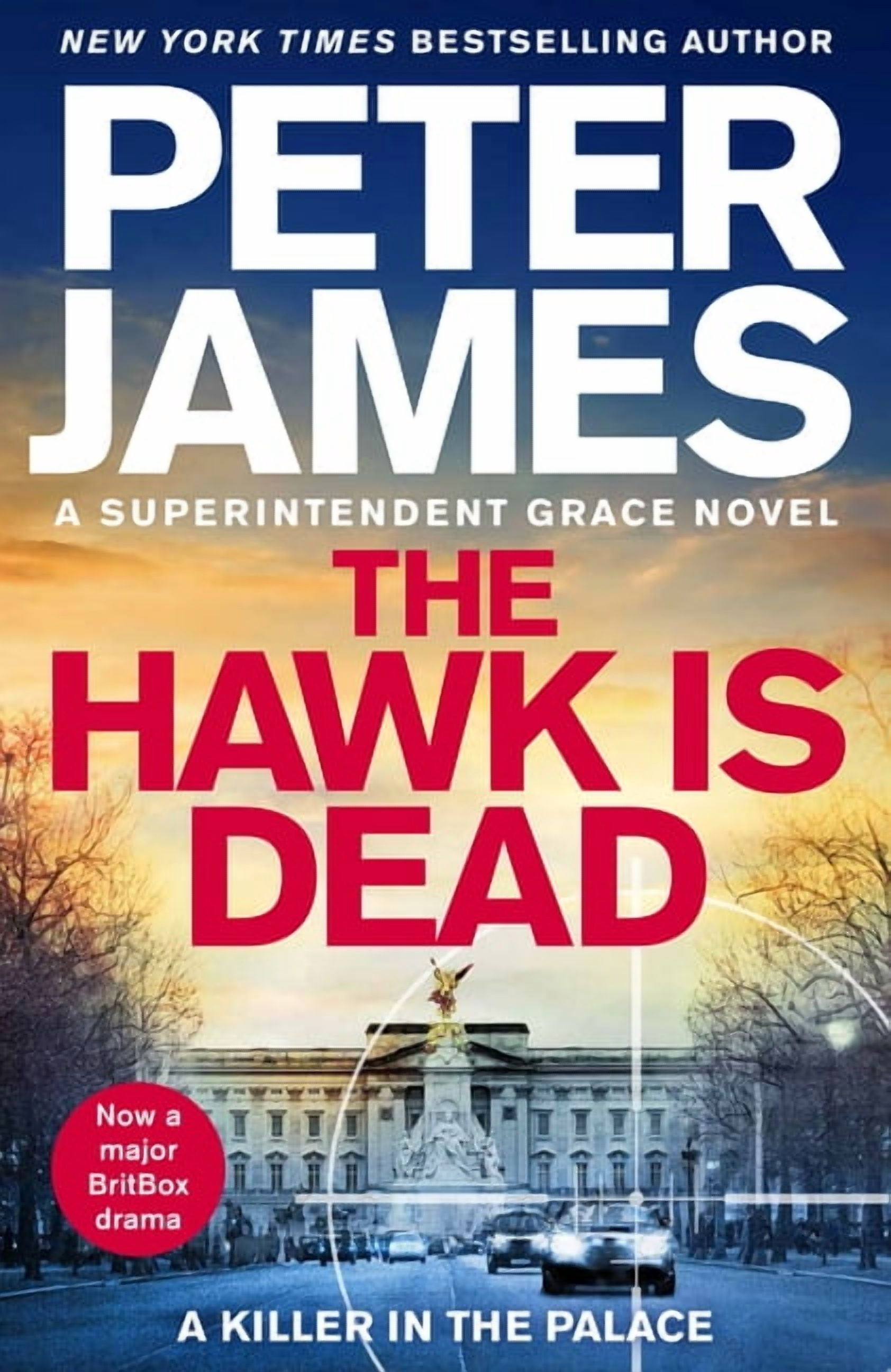 Roy Grace The Hawk Is Dead, Book 21, (Hardcover) - Walmart.com