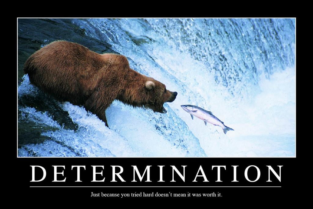 Determination Bear In Water Catching Fish Funny Demotivational Snarky ...