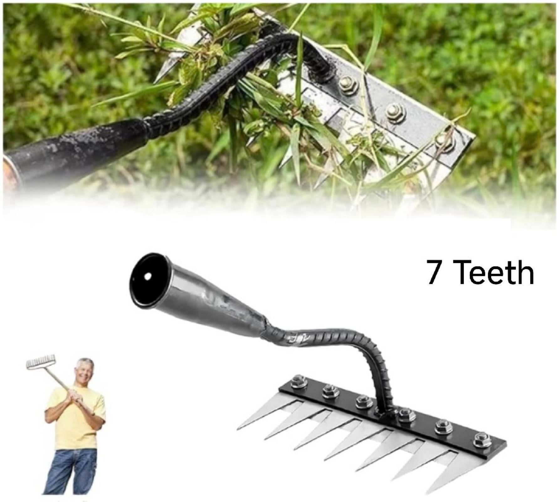 Dethatching Rake,Iron Rake for Gardening and Weeding,Carbon Steel ...