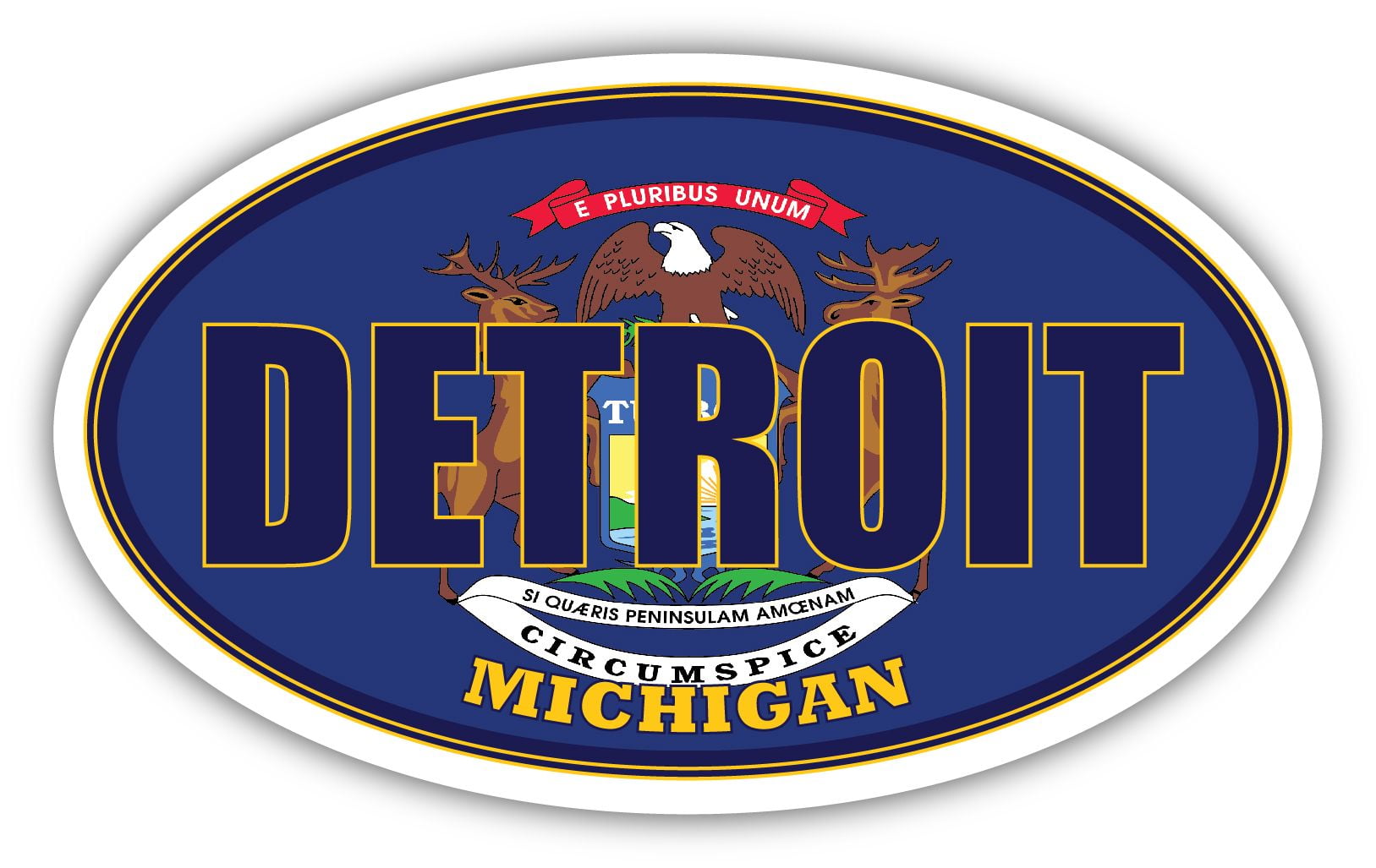 Detroit City Michigan State Flag | MI Flag Wayne County Oval State ...
