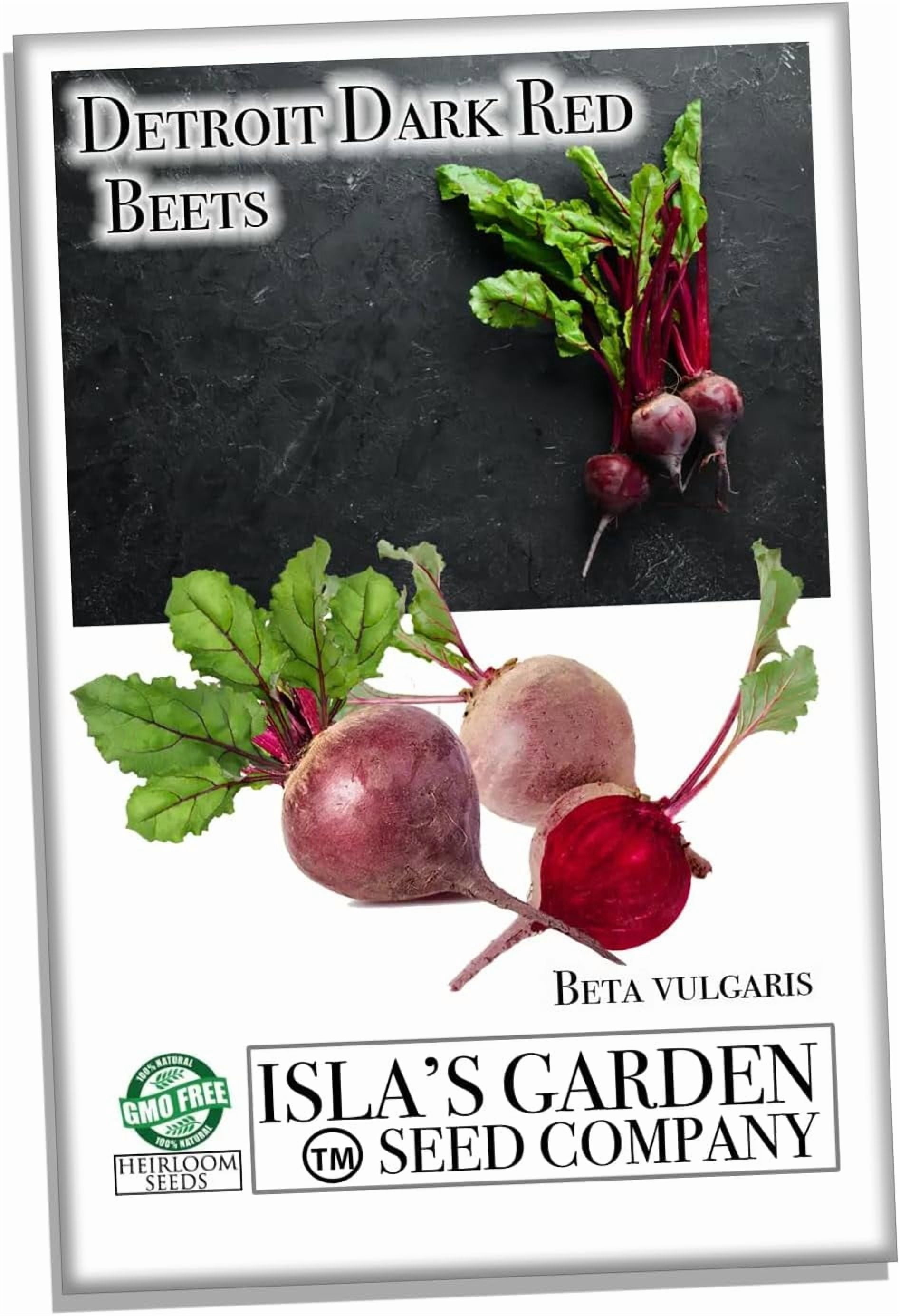 Detroit Dark Red Beet Seeds – 150+ Heirloom, Non-GMO Seeds for Planting ...