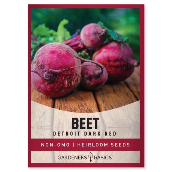 Detroit Dark Red Beet Seeds - Walmart.com