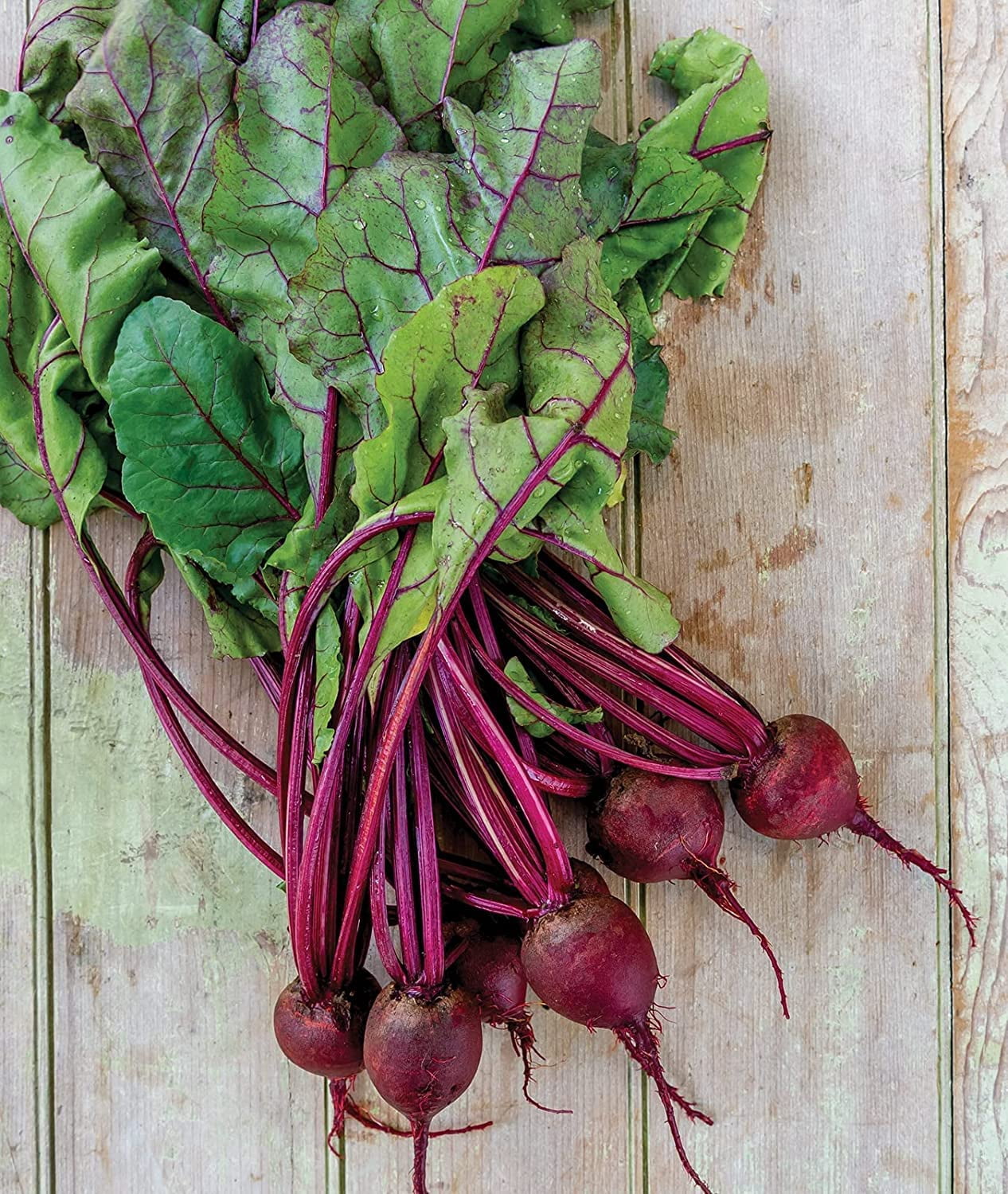 Detroit Dark Red Medium Top Beet Seeds - Made in USA, Ships from Iowa ...