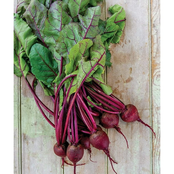 Detroit Dark Red Medium Top Beet Seeds - Made in USA, Ships from Iowa ...