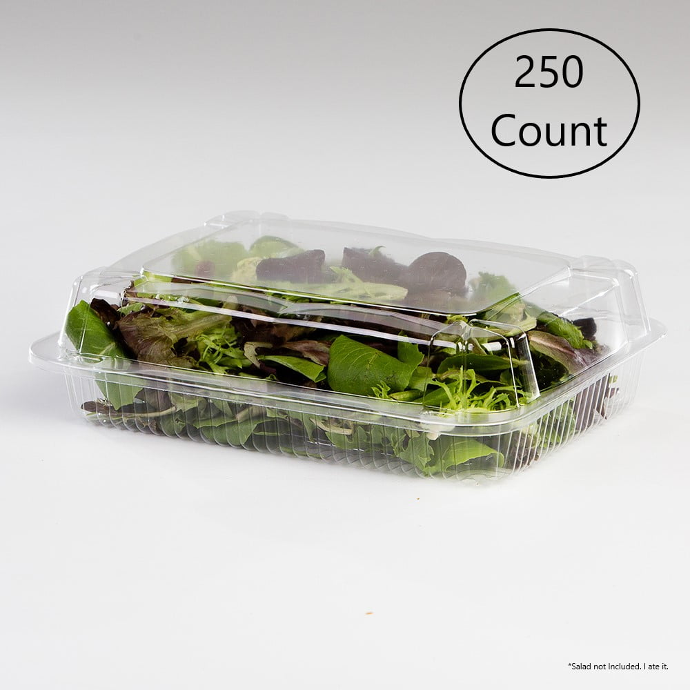 DFI Clear OPS Plastic Square Hinged Locking Lid Food Container, 10.5 x ...