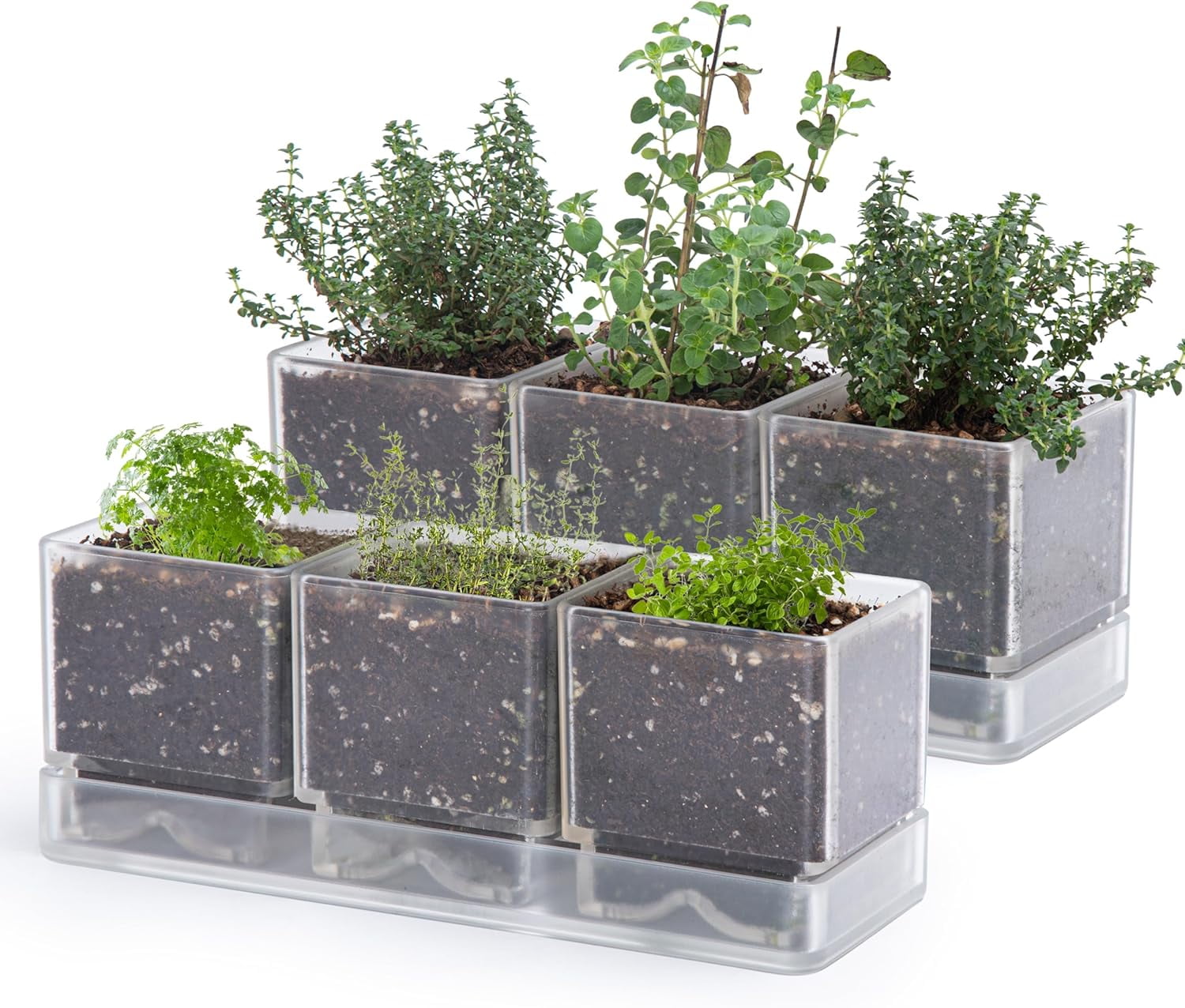 Dev Herb Garden Planter Set, Plastic Plant Pots with Drainage and ...