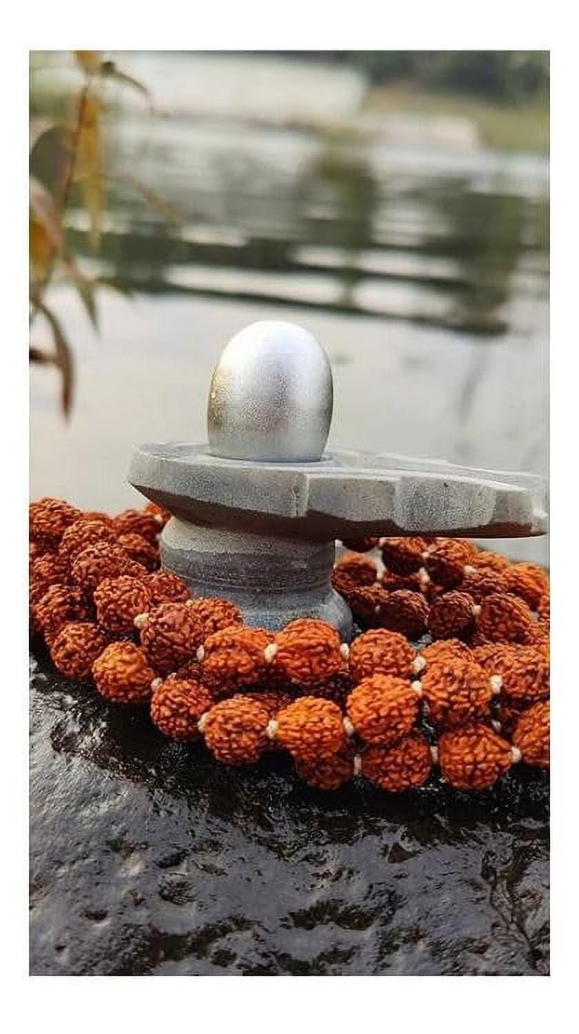 DevLink Pure Mercury Lord Shiva's Rasmani & Rasraj Parad Shivlings ...