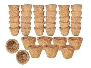 Devbhoomi Pure and Organic Cow Dung Sambrani Dhoop Cups Ideal for ...