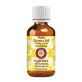 Deve Herbes Ocotea Oil (Ocotea quixos) - 30ml (1.01 FL Oz ) - 100% ...