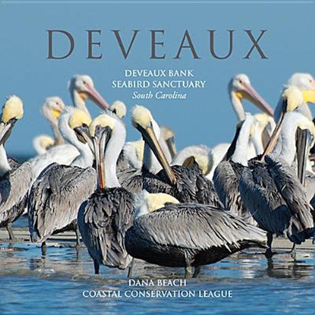 Pre-Owned Deveaux: Deveaux Bank Seabird Sanctuary, South Carolina ...