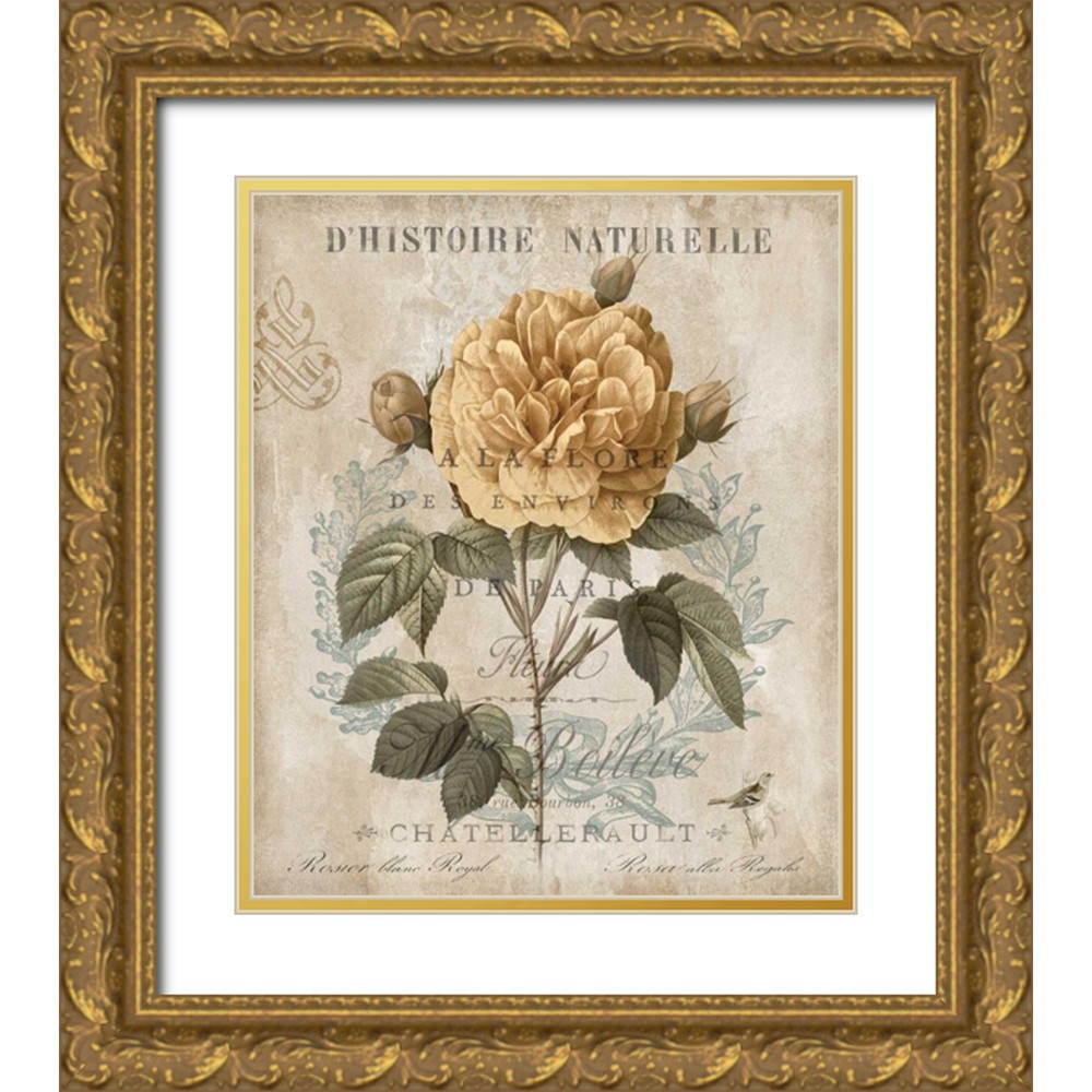 Devellier, Deborah 20x23 Gold Ornate Wood Framed with Double Matting ...