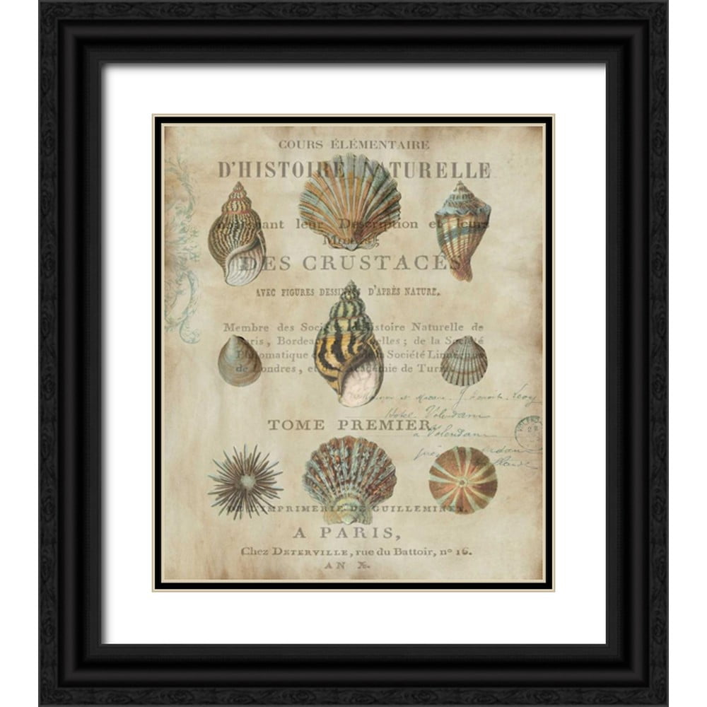Devellier, Deborah 26x30 Black Ornate Wood Framed with Double Matting ...