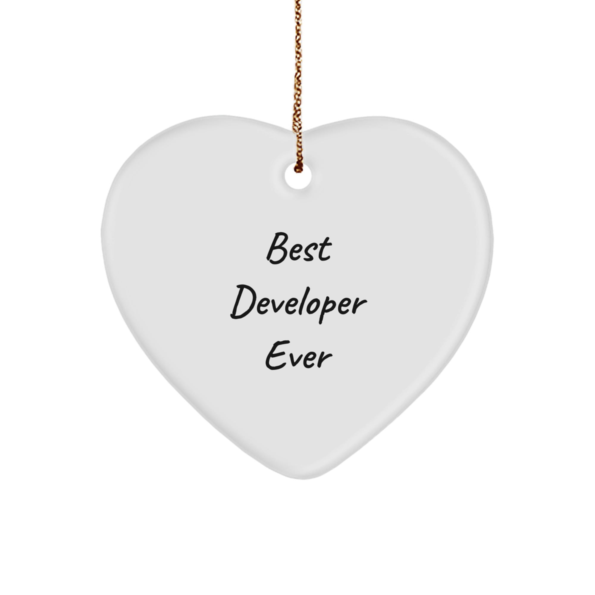 Developer Heart Ornament Funny Quote Gifts from Friends to Developer ...