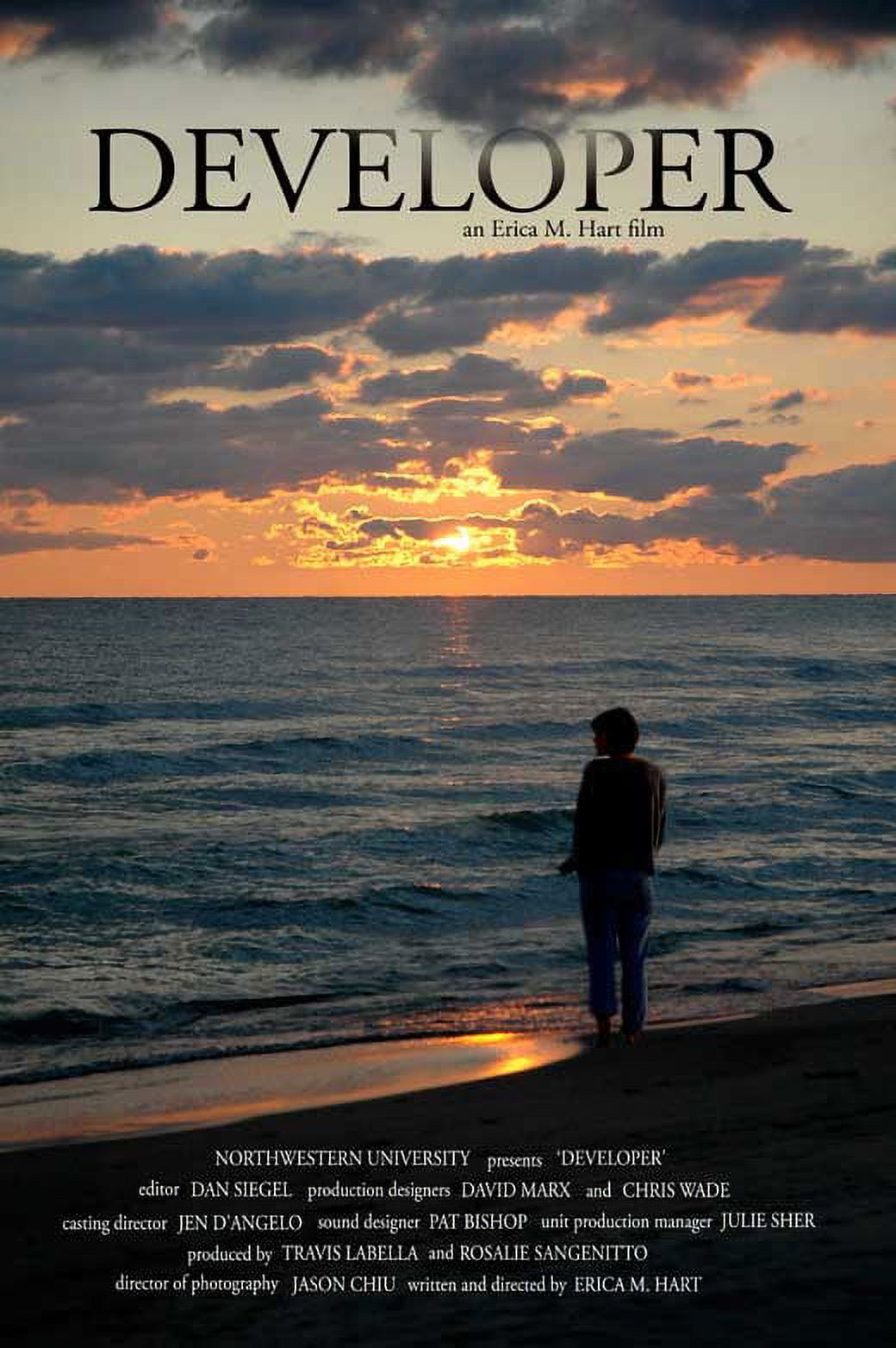 Developer - movie POSTER (Style A) (11" x 17") (2009) - Walmart.com