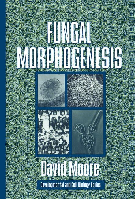 Developmental and Cell Biology Fungal Morphogenesis, Book 35 ...