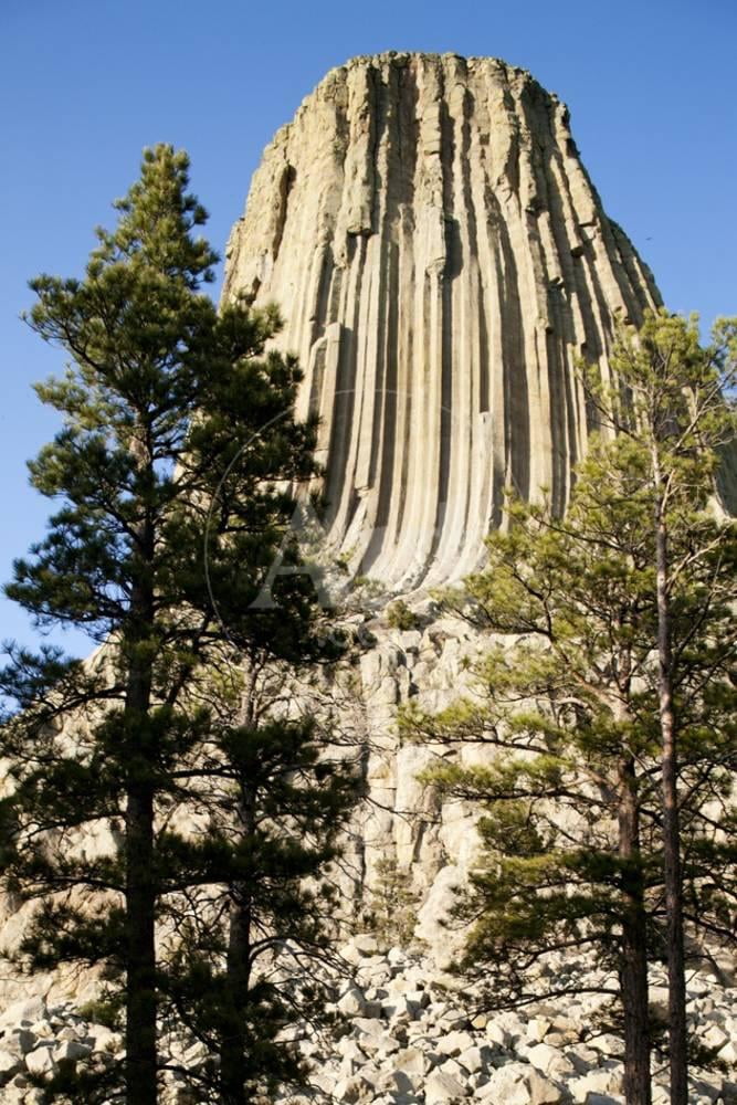 Devils Tower National Monument in Wyoming, Animals Scenic World Culture ...