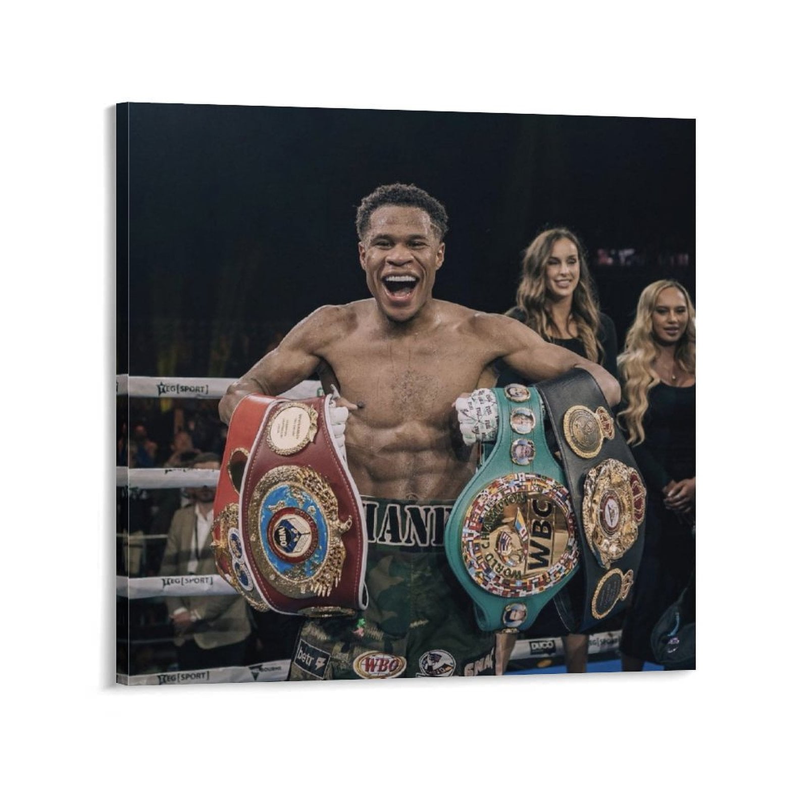 Devin Haney Boxer Boxing Poster Art Artworks Picture Print Poster Wall ...