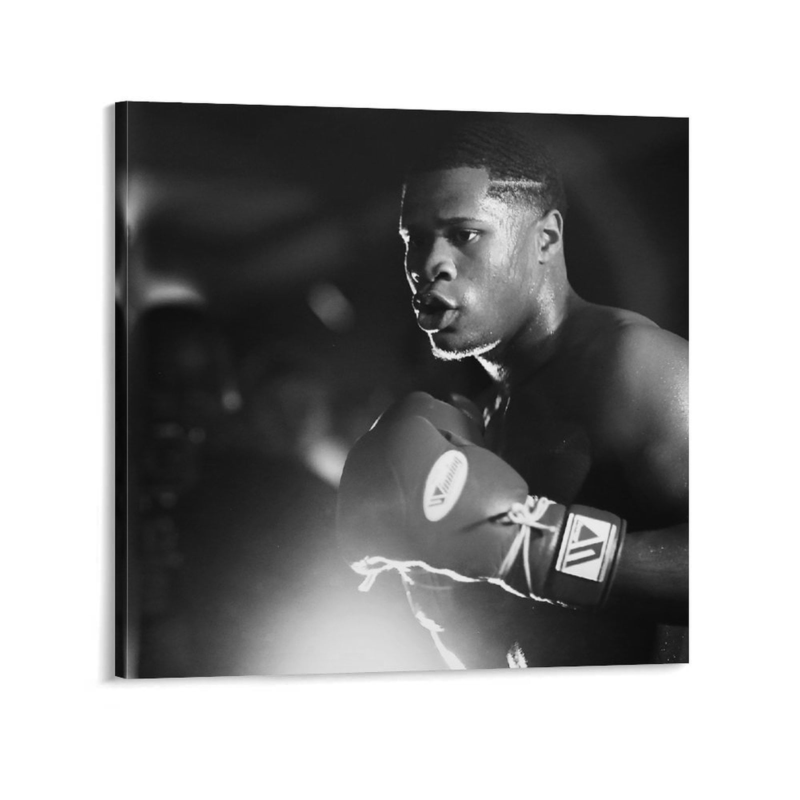 Devin Haney Boxer Boxing Poster Artworks Picture Print Poster Wall Art ...