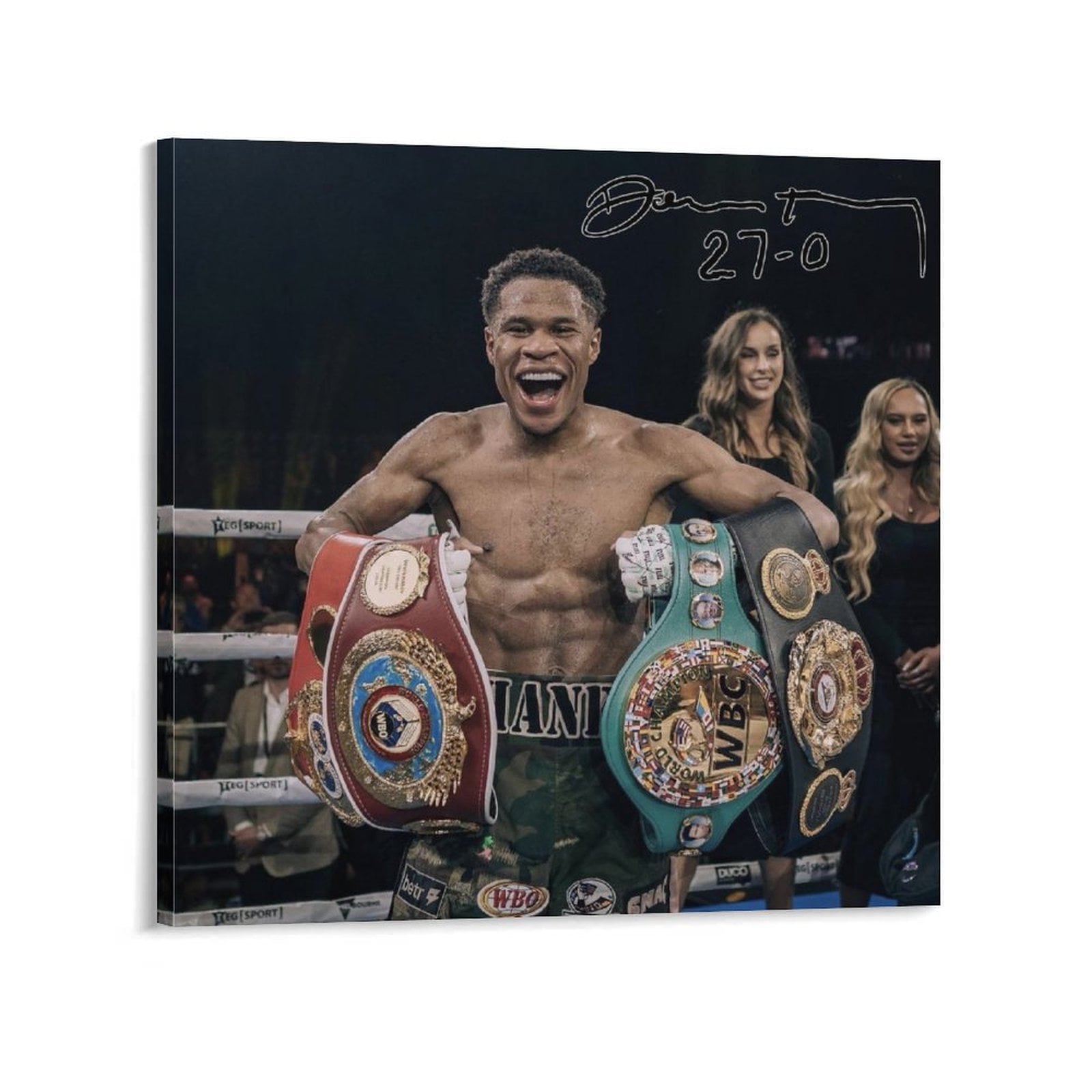 Devin Haney Boxing Boxer Professional Boxer Poster Signed Poster Room ...