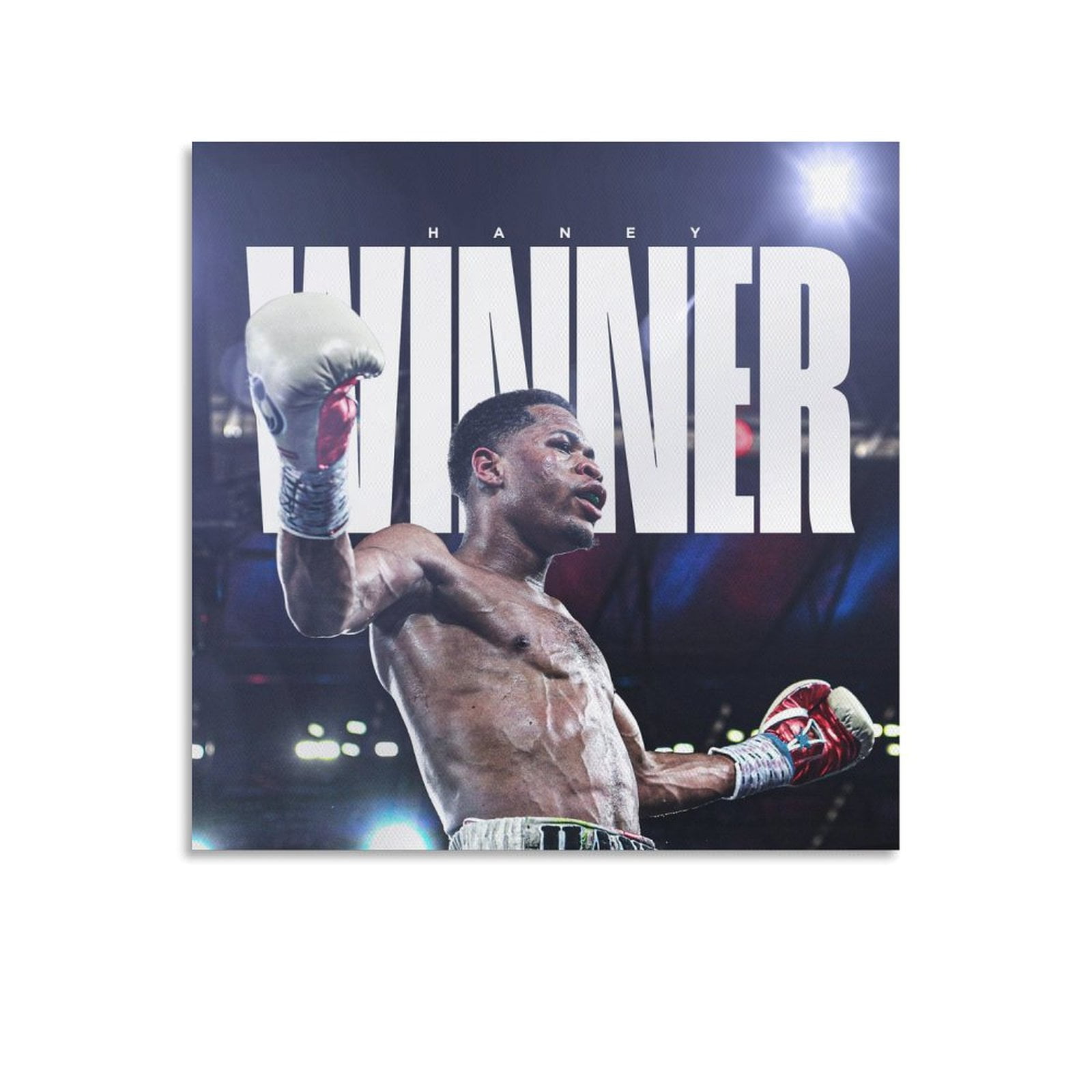 Devin Haney Boxing Professional Boxer Posters Canvas Wall Art Prints ...