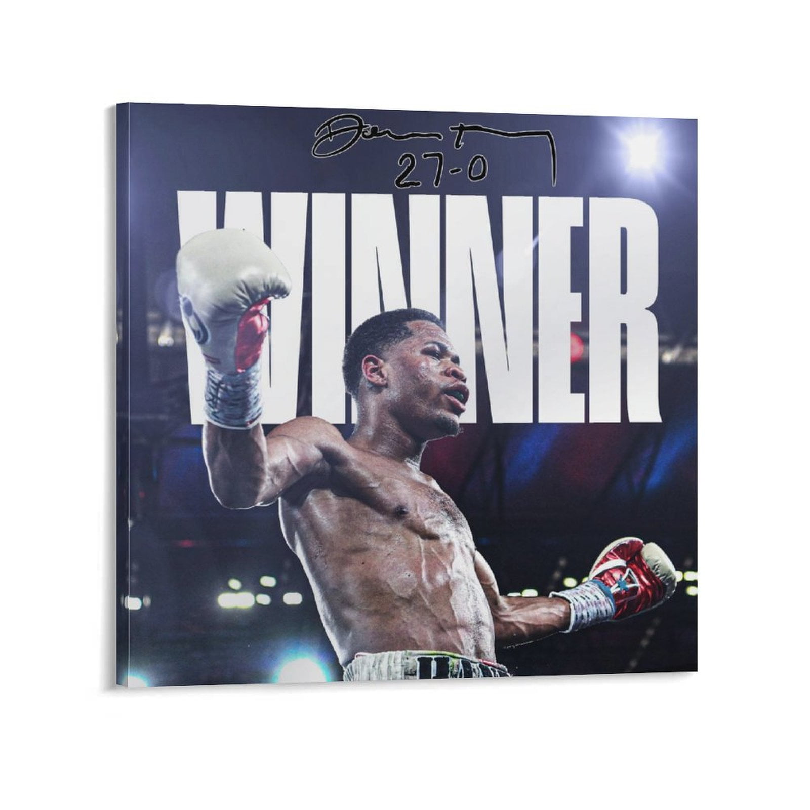 Devin Haney Boxing Professional Boxer Posters Signed Posters Picture ...