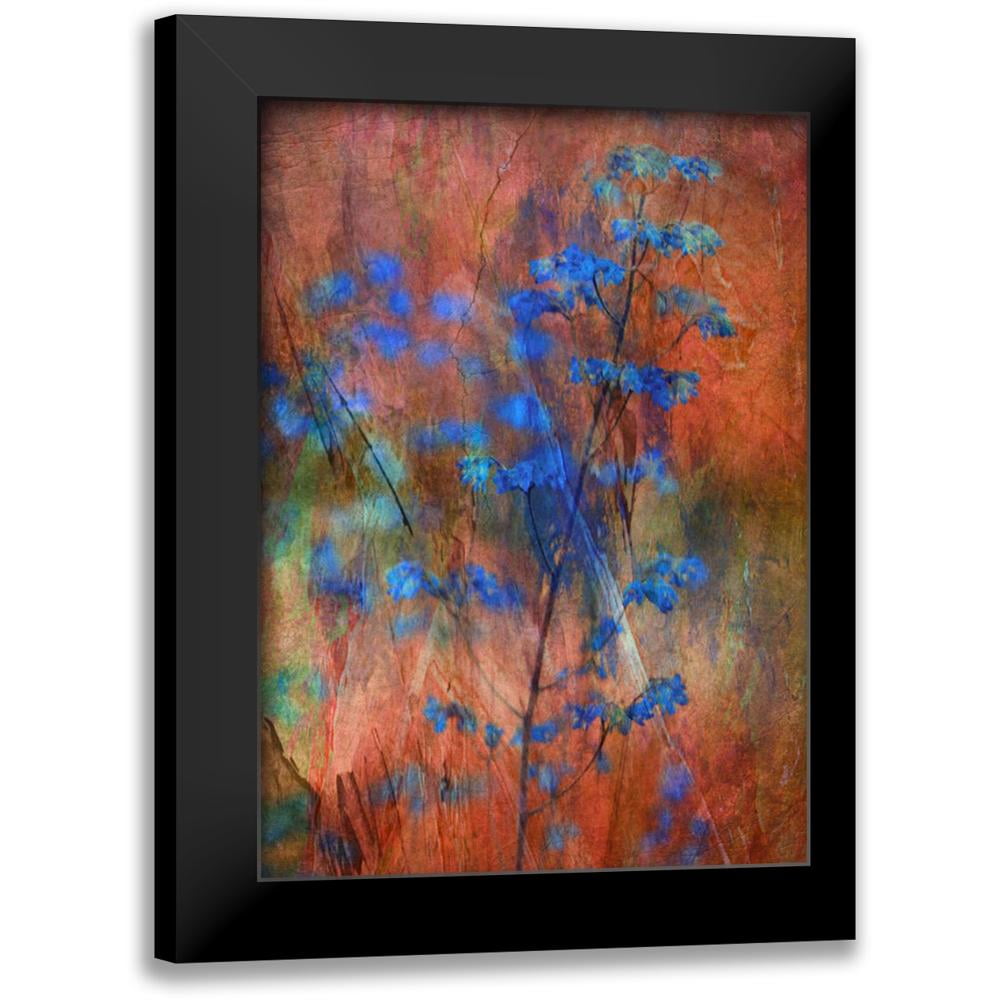 Devos, Delphine 11x14 Black Modern Framed Museum Art Print Titled - Colors Dance On Flowers ...