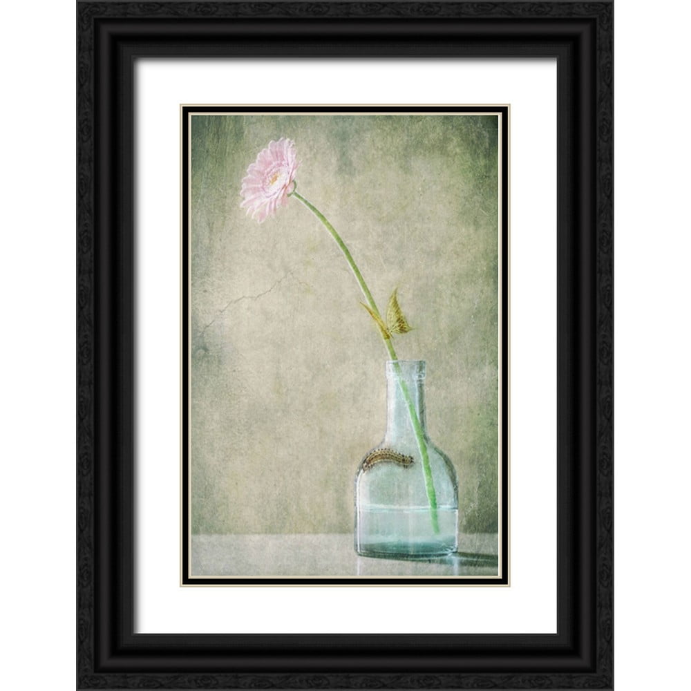 Devos, Delphine 11x14 Black Ornate Wood Framed with Double Matting Museum Art Print Titled - A ...