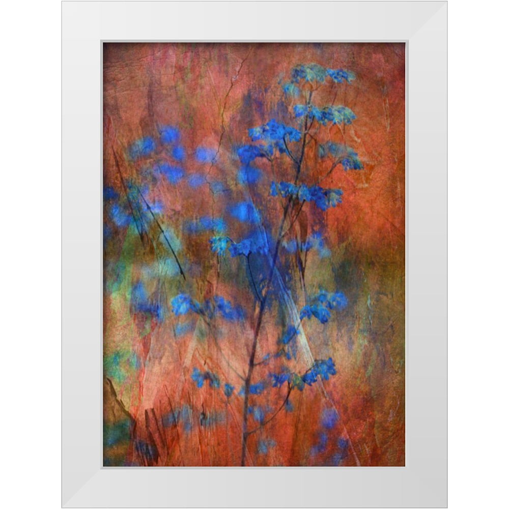 Devos, Delphine 11x14 White Modern Wood Framed Museum Art Print Titled - Colors Dance On Flowers ...