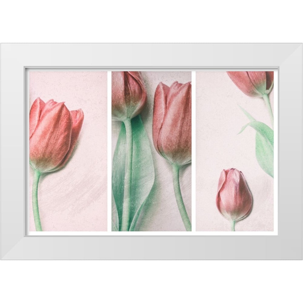 Devos, Delphine 14x11 White Modern Wood Framed Museum Art Print Titled - Red Elegance - Walmart.com