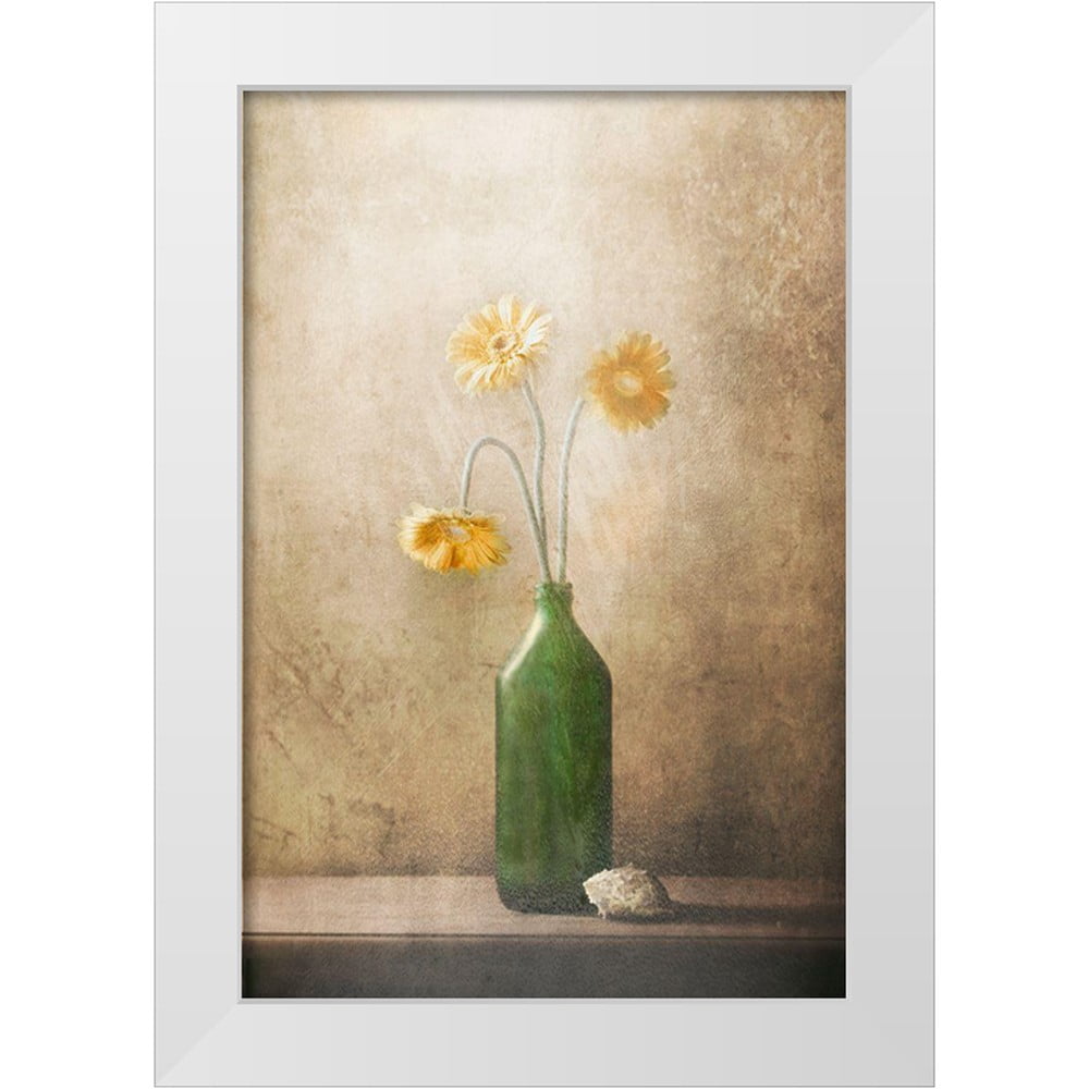 Devos, Delphine 17x24 White Modern Wood Framed Museum Art Print Titled - Daisies - Walmart.com