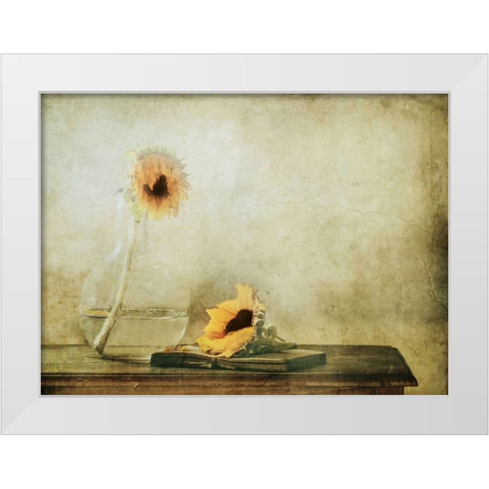 Devos, Delphine 18x14 White Modern Wood Framed Museum Art Print Titled - The Black Heart ...