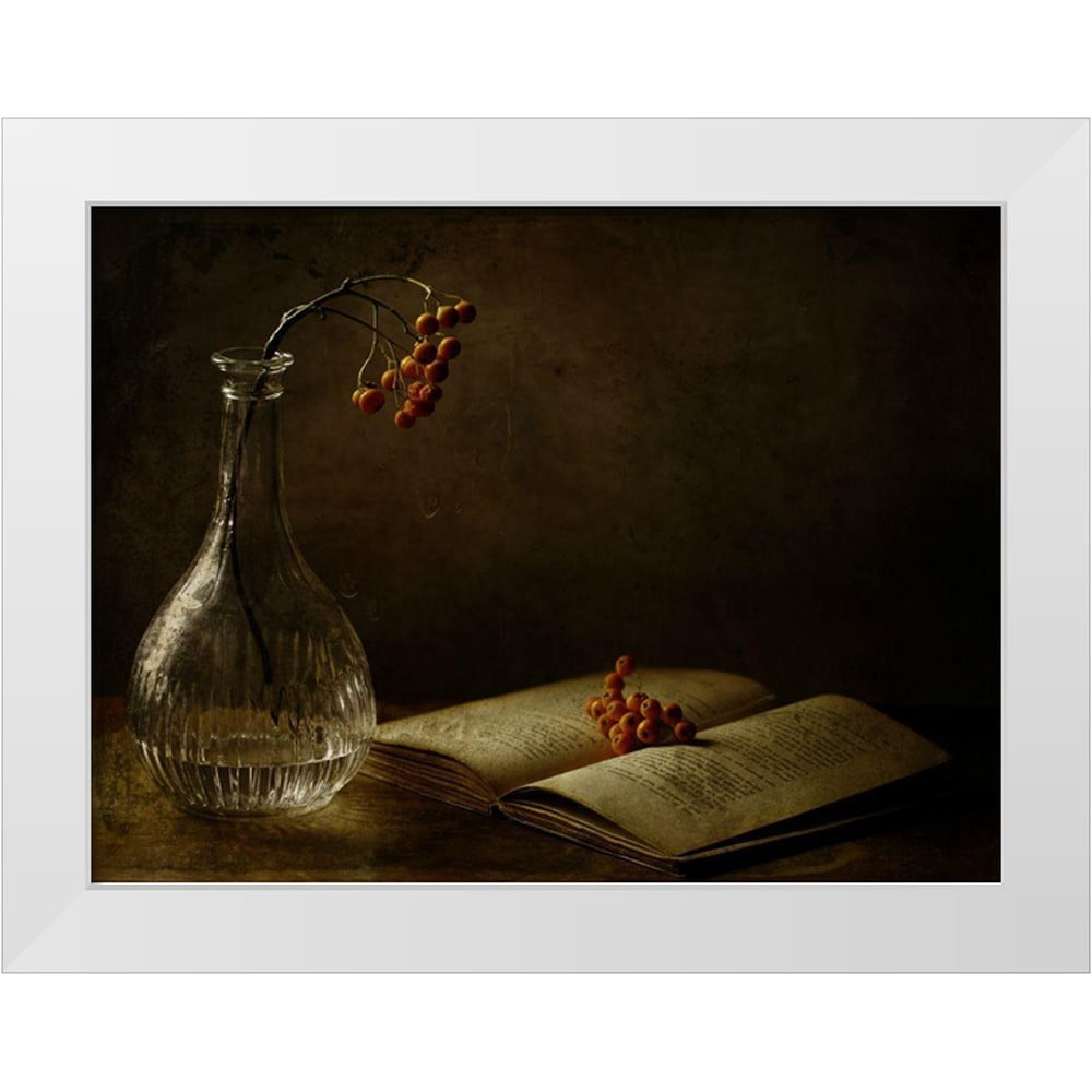 Devos, Delphine 24x19 White Modern Wood Framed Museum Art Print Titled - In The Dark Of My Days ...