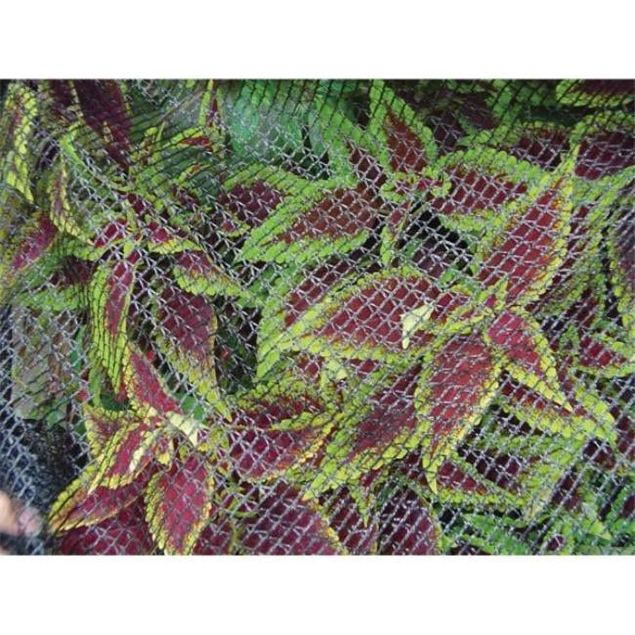 Dewitt 14 ft.x14 ft. Bird Barricade Deluxe Netting .25 in. mesh ...