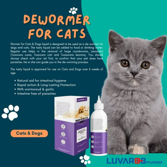 Cat Dewormers in Cat Health and Wellness - Walmart.com
