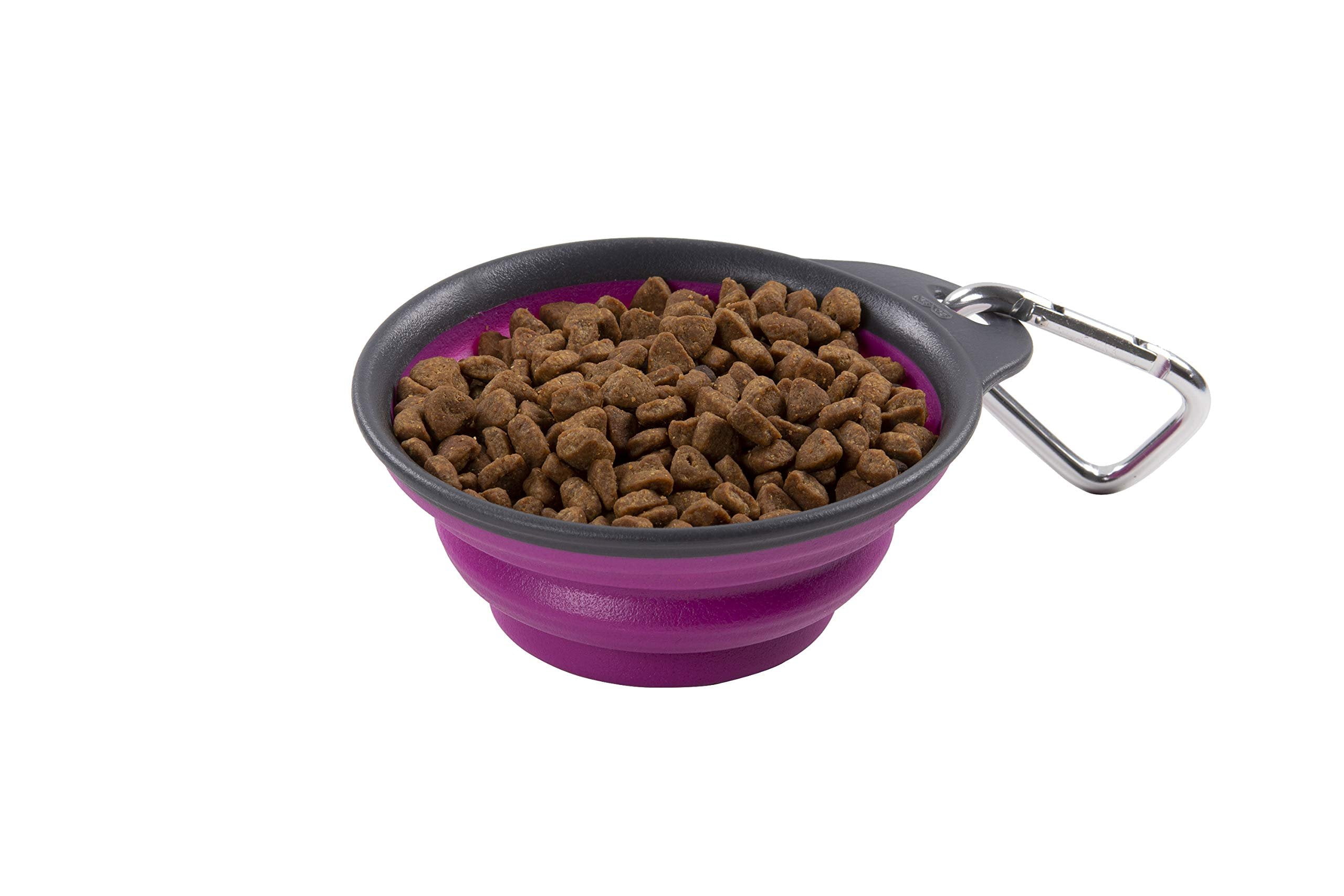 Dexas Pets Collapsible Travel Cup, Small/1 Cup Capacity, Fuchsia ...