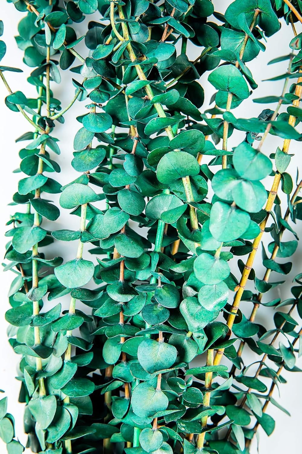 Dexon Power California Eucalyptus 30" Green Branches Natural - Walmart.com