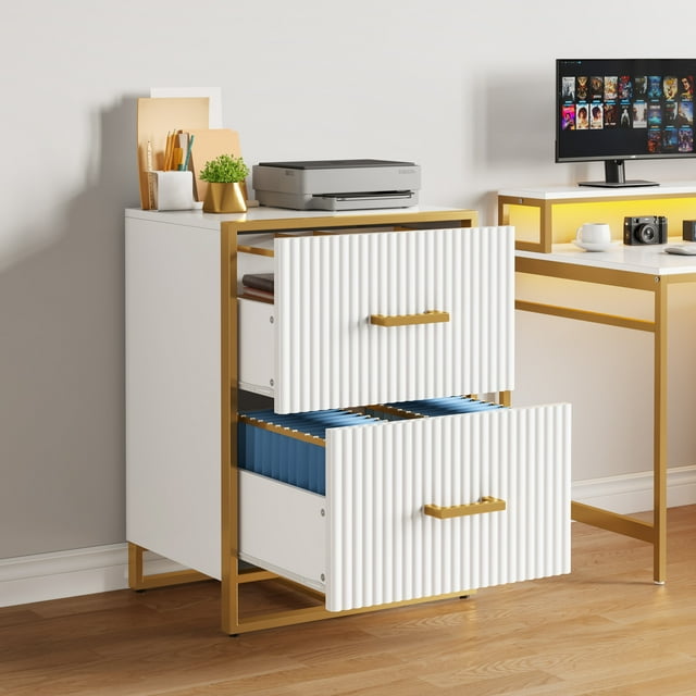 Dextrus 2 Drawer File Cabinet with Metal Legs , Wood Lateral Filing ...