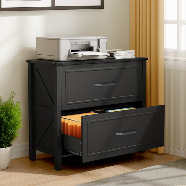Dextrus 2-Drawer Lateral File Cabinet for Home Office , Large Filing ...