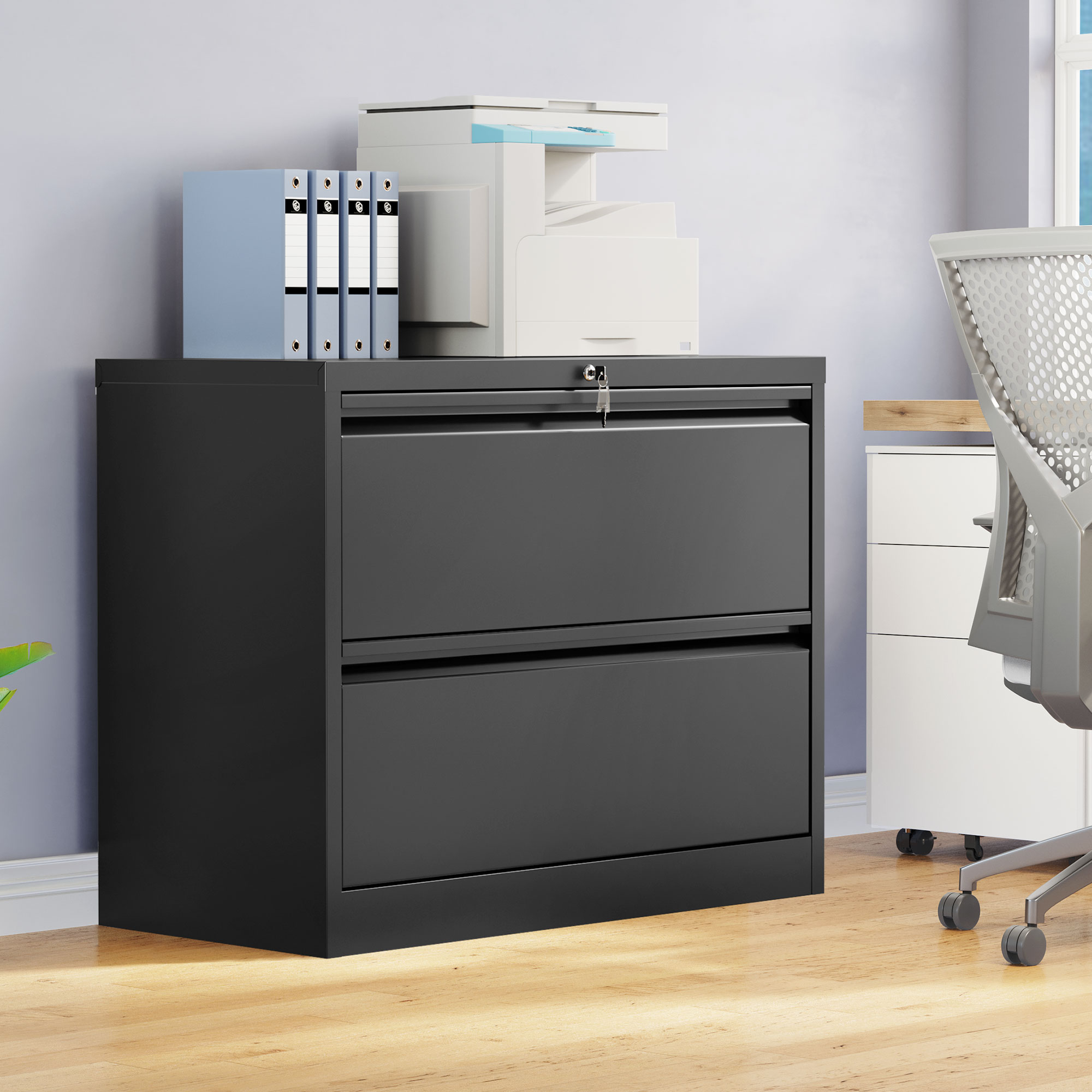 Dextrus 2-Drawer Lateral File Cabinet with Lock, Wide Metal Stainless ...