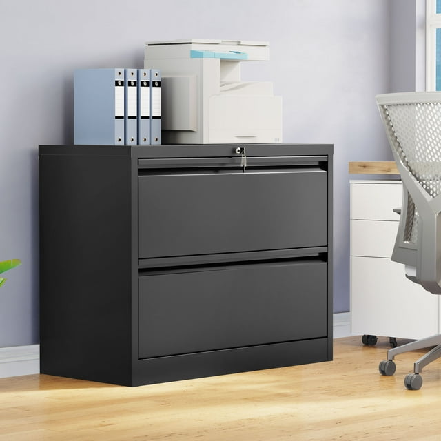 Dextrus 2-Drawer Lateral File Cabinet with Lock, Wide Metal Stainless ...