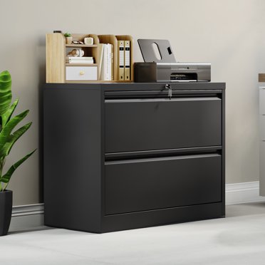 Lateral File Cabinets with Lock, 2 Drawer Steel Wide Filing ...