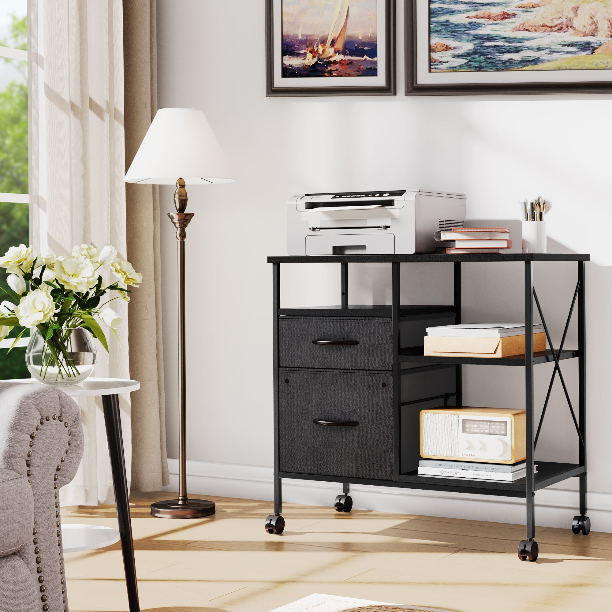 Dextrus 2 Drawer Mobile File Cabinet, Rolling Printer Stand, Fits A4 ...