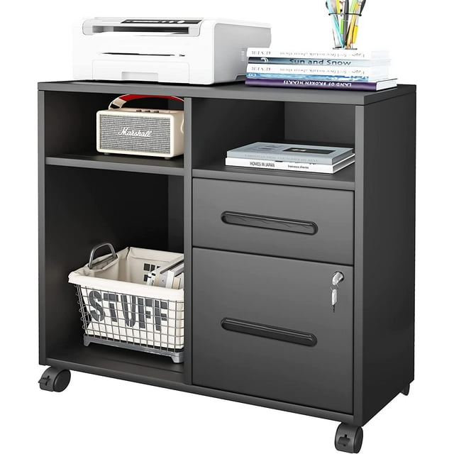 Dextrus Locking 2-Drawer Mobile Lateral Filing Cabinet with Open Shelf ...