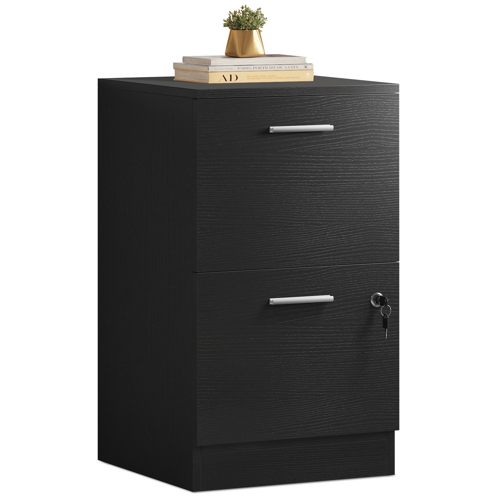 "DEXTRUS Lockable 2-Drawer Wood File Cabinet, Black, Letter and A4 Size ...