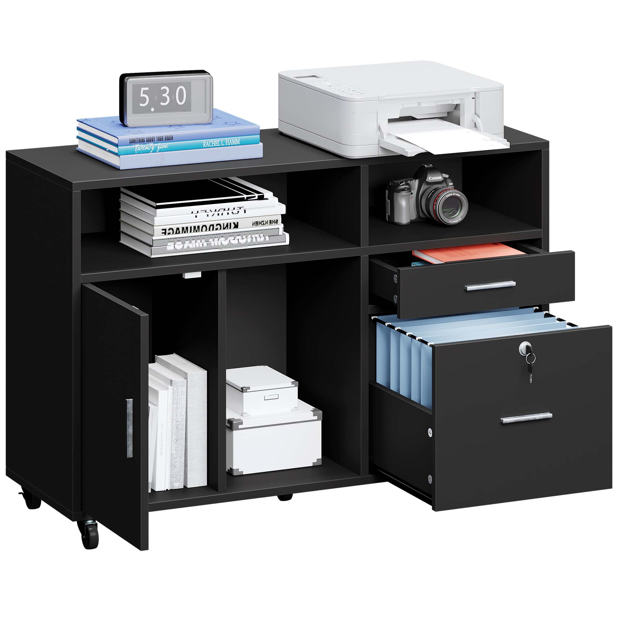 Dextrus 2 Drawer Wood Lateral File Cabinet, Mobile Filing Cabinet Fits ...